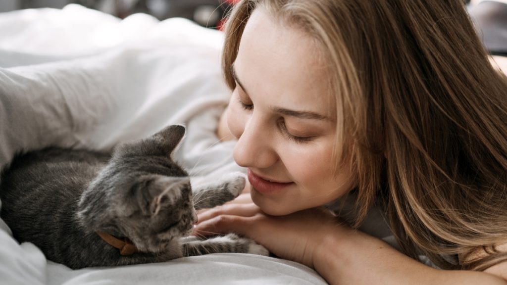 ¿Tu gato te toca la cara? 7 razones detrás de este comportamiento